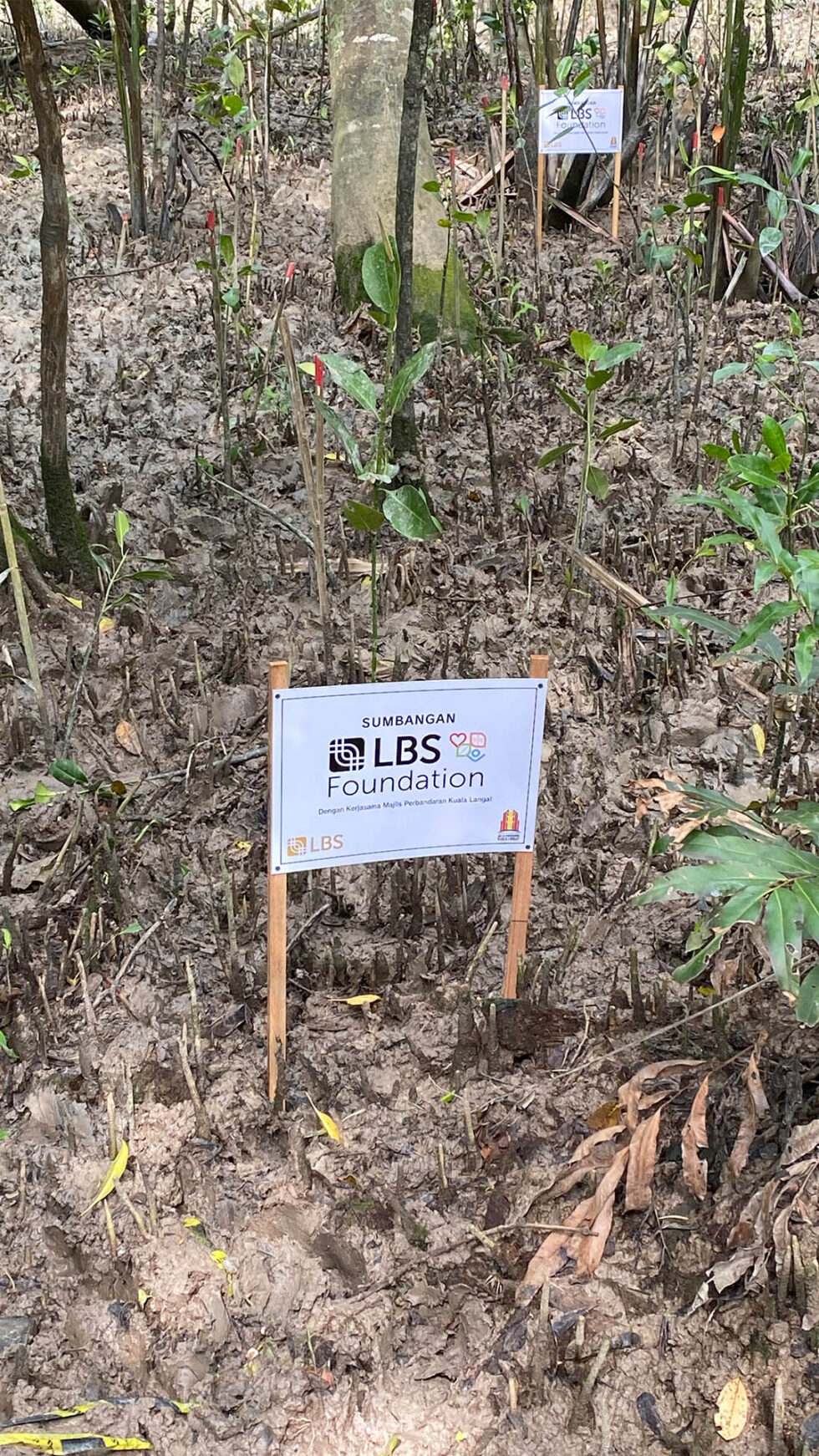 Jom Tanam 1000 Bakau - Tree Planting Event (26 September 2020) - LBS ...